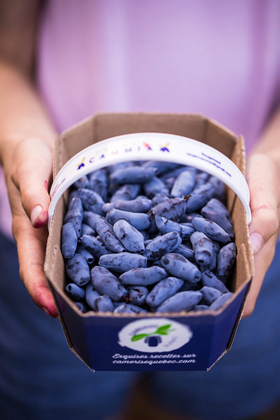 La camerise | Verger Cammia | Rougemont